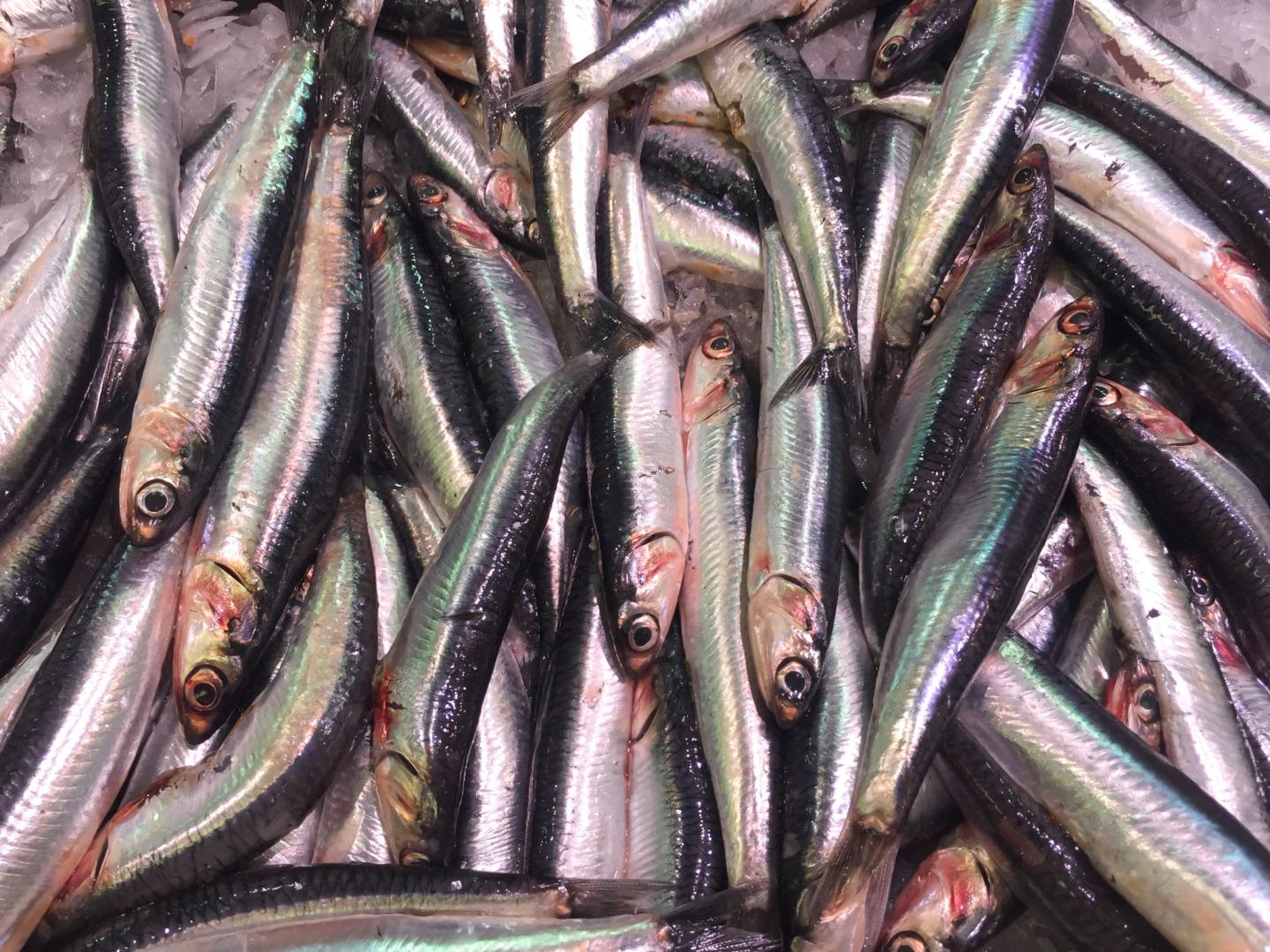 HAMSIE EVISCERATA CU CAP 1 KG