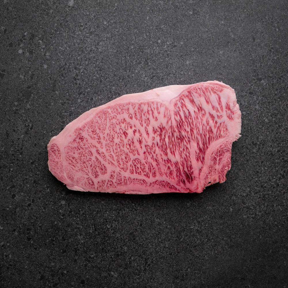 VRABIOARA MIYAZAKI A5 BMS11